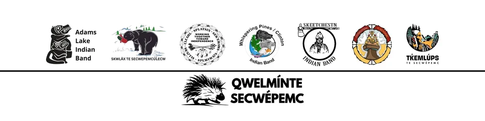 Governance — Qwelminte Secwepemc