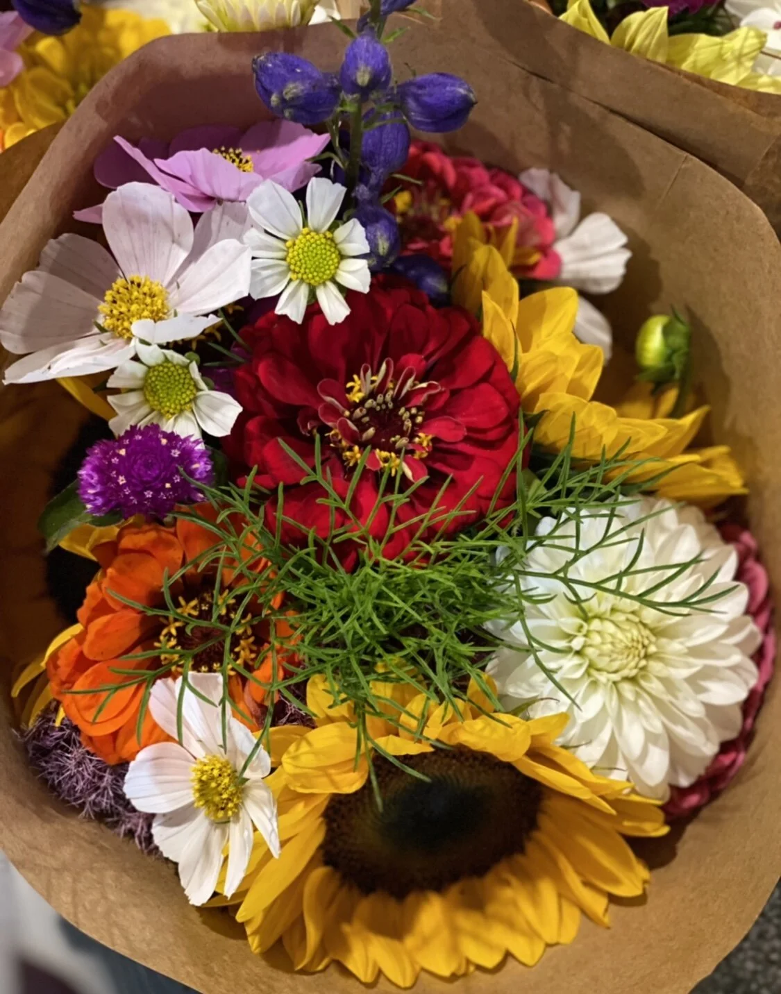 Happy Hills Flower Farm