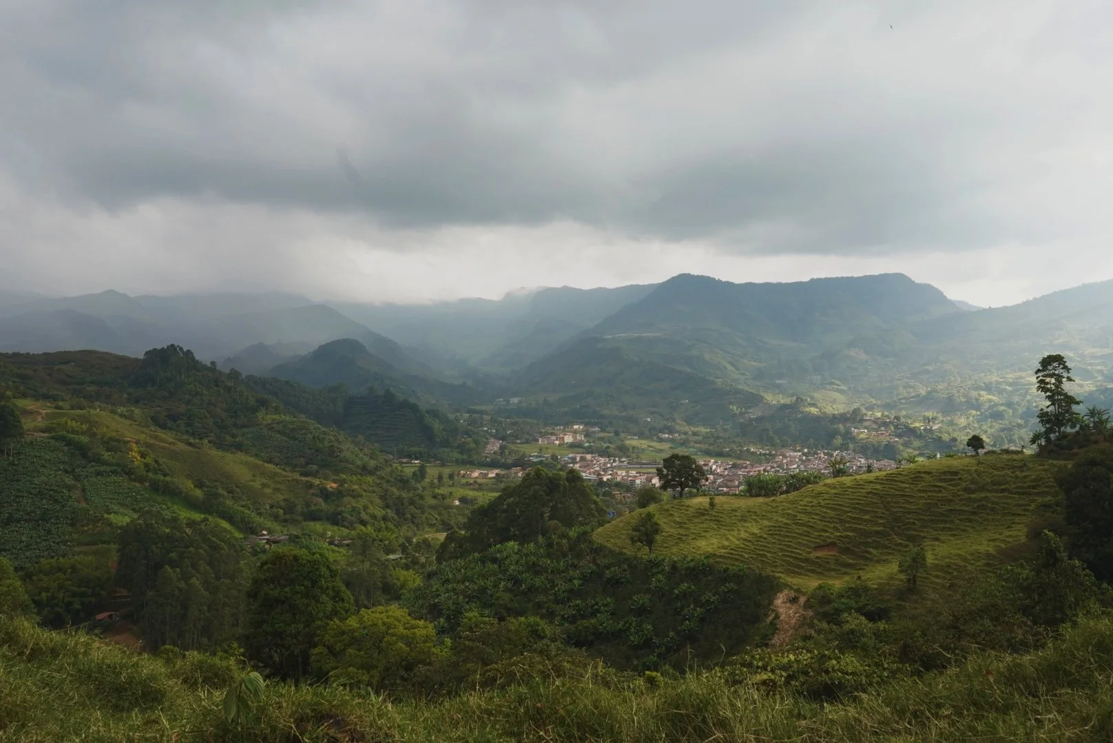 Gather Coffee Lounge