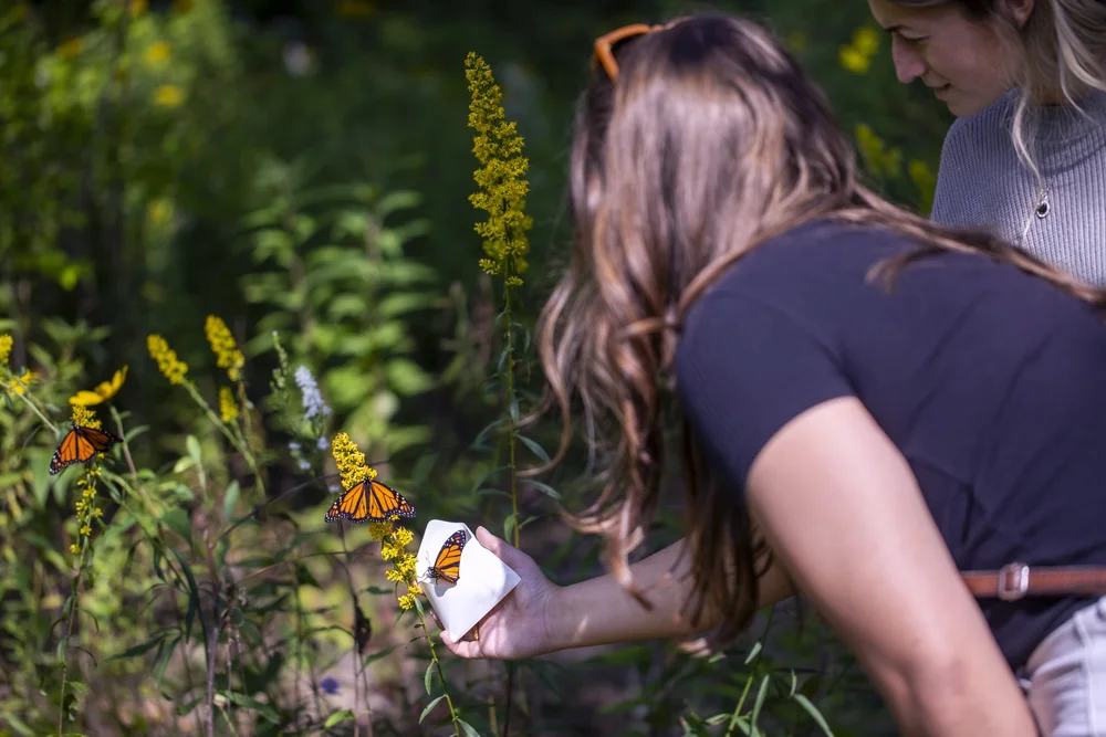 We Ask for Your Support — Ann Arbor Hands-On Museum and Leslie Science ...
