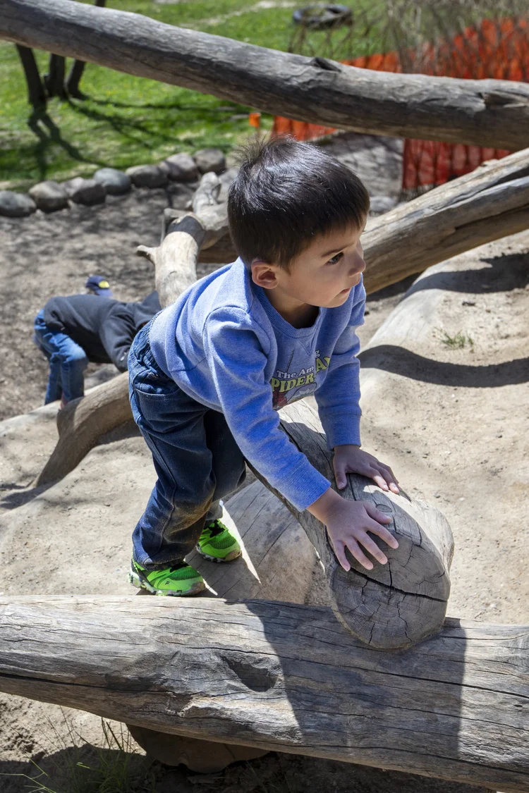 LSNC Nature Playscape — Ann Arbor Hands-On Museum and Leslie Science ...