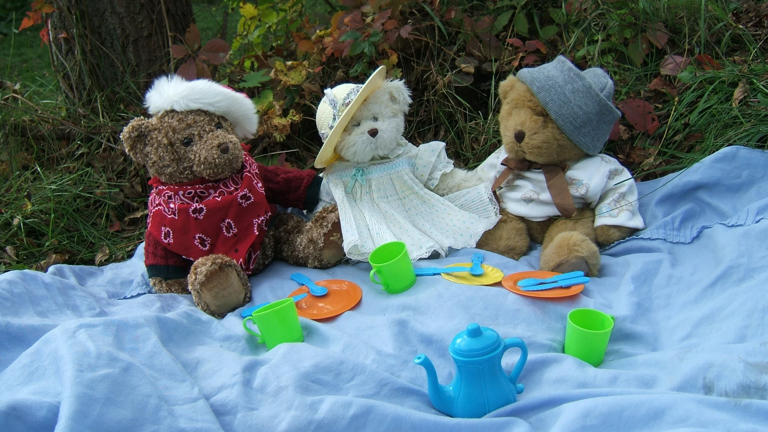 Teddy Bear Tracking @ Leslie Science & Nature Center — Ann Arbor Hands ...