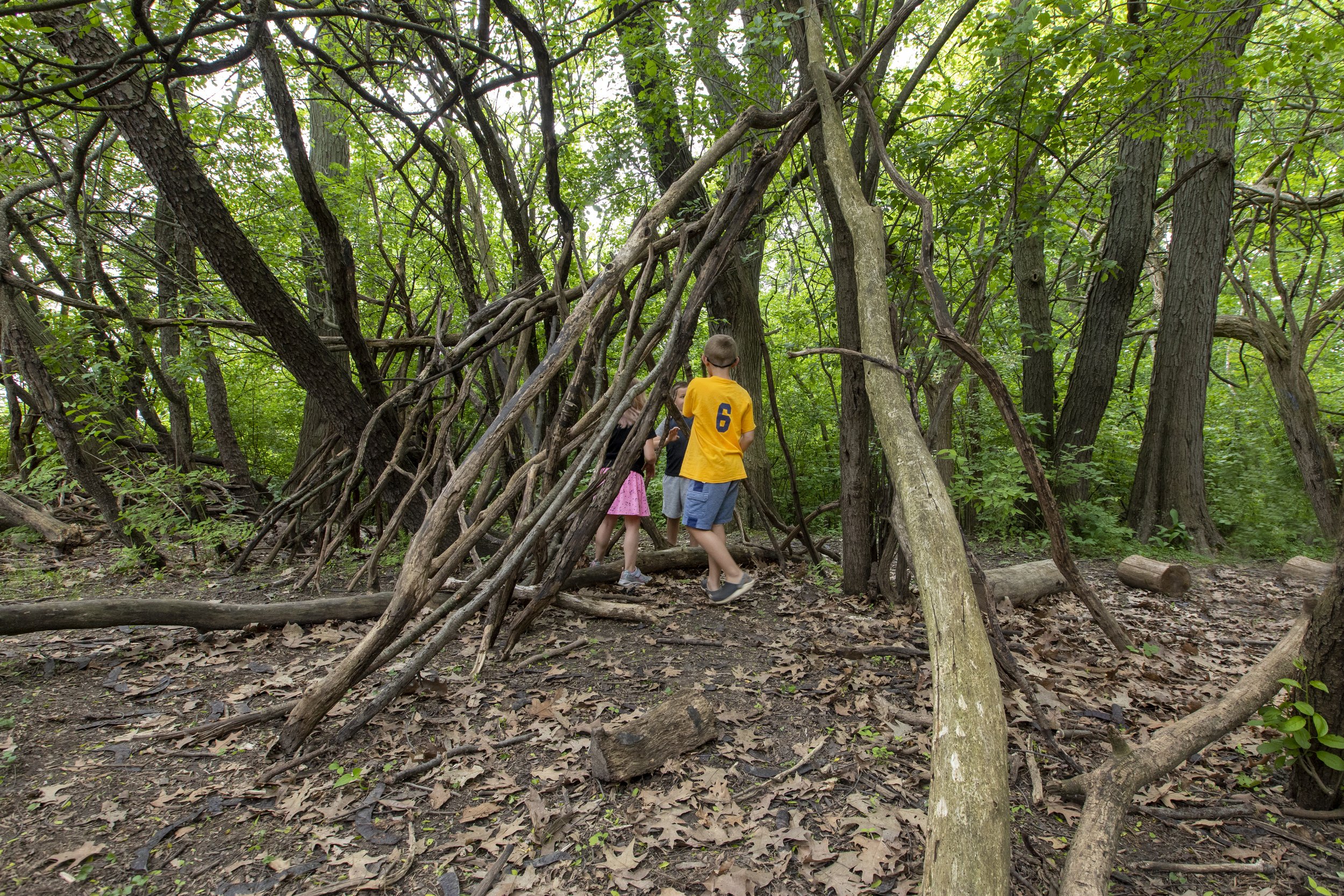 Nature Playscape Draft — Ann Arbor Hands-On Museum and Leslie Science ...