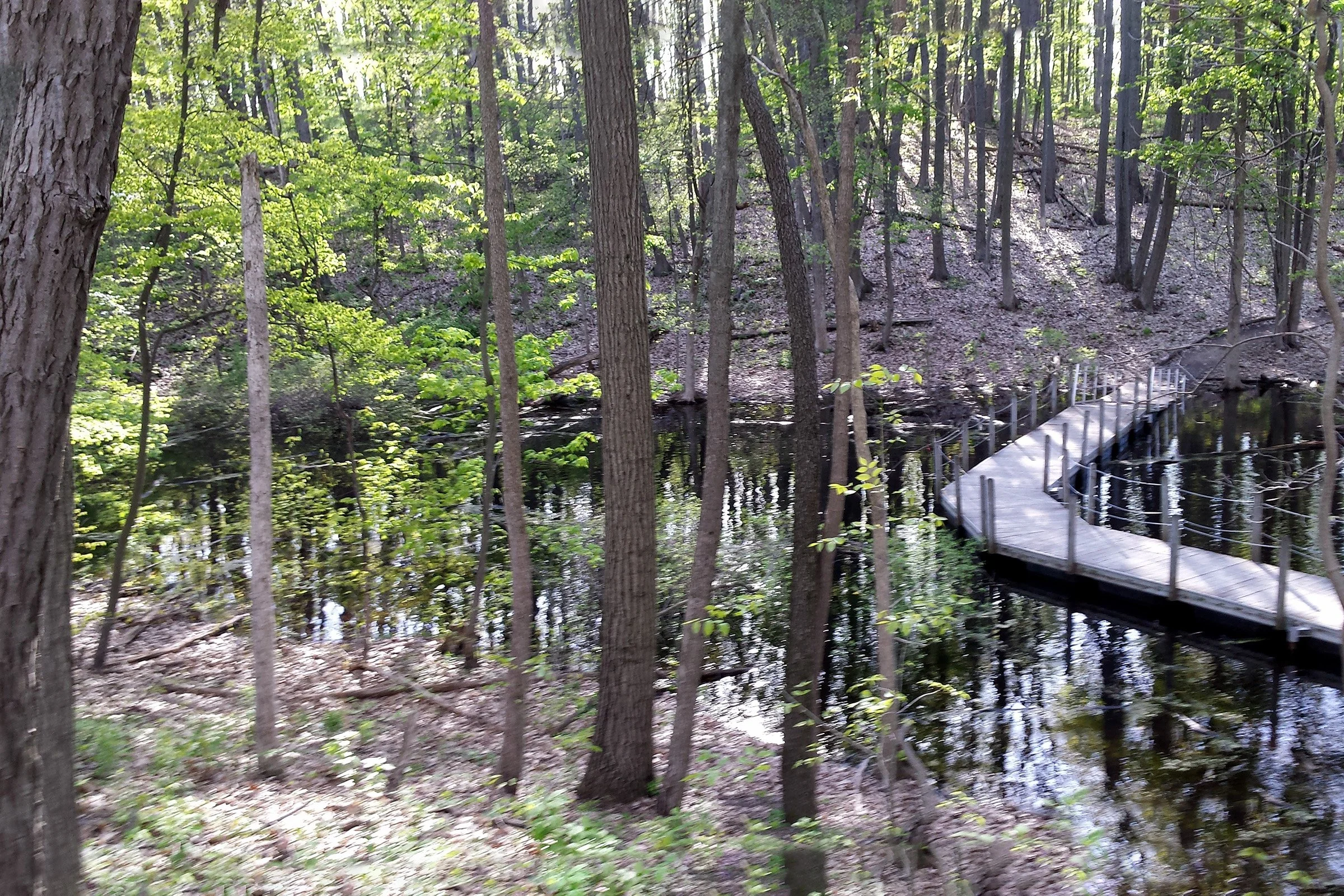 The Nature of Water at Leslie Science & Nature Center — Ann Arbor Hands ...