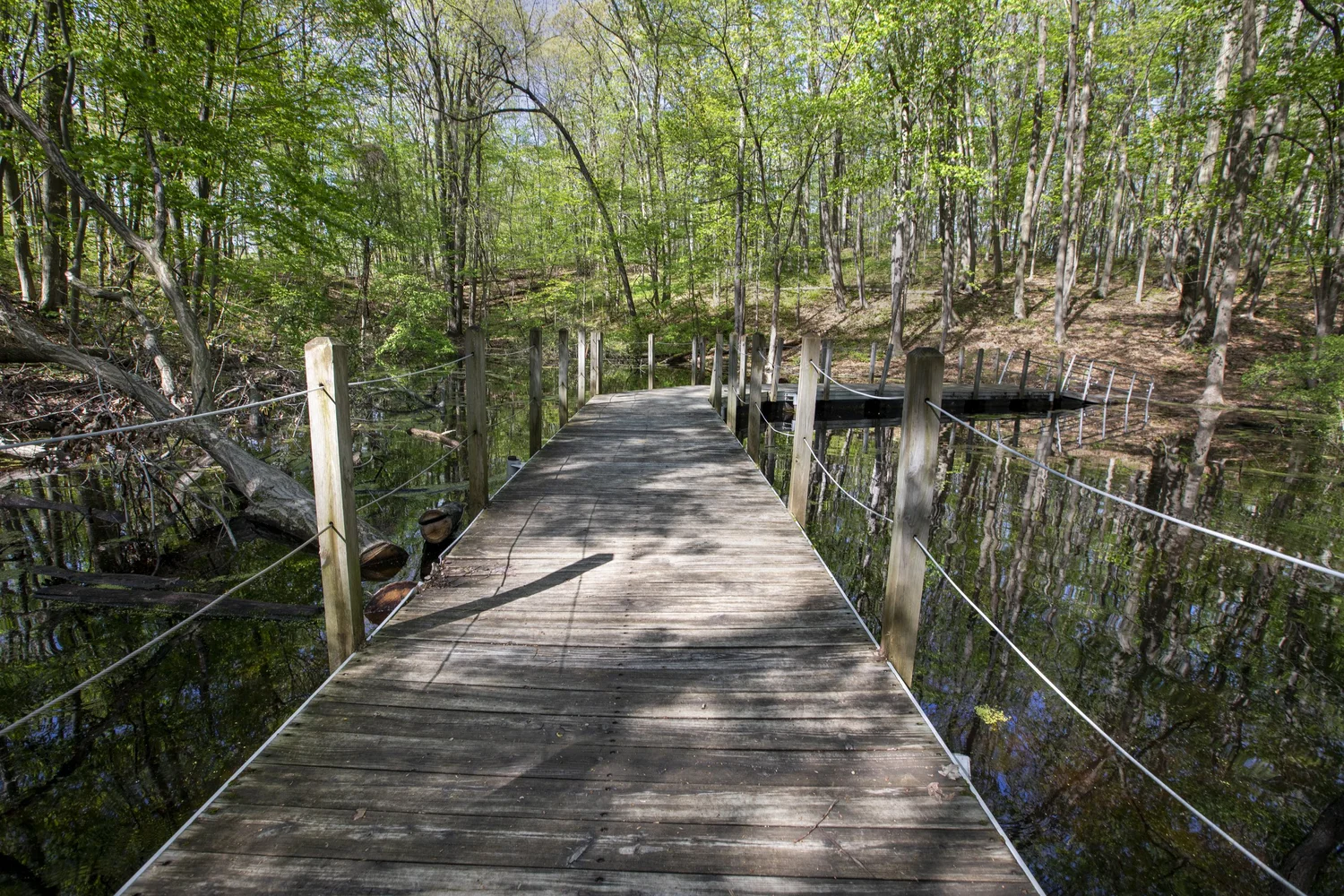 Camp Catalog 2025 — Ann Arbor Hands-On Museum and Leslie Science ...
