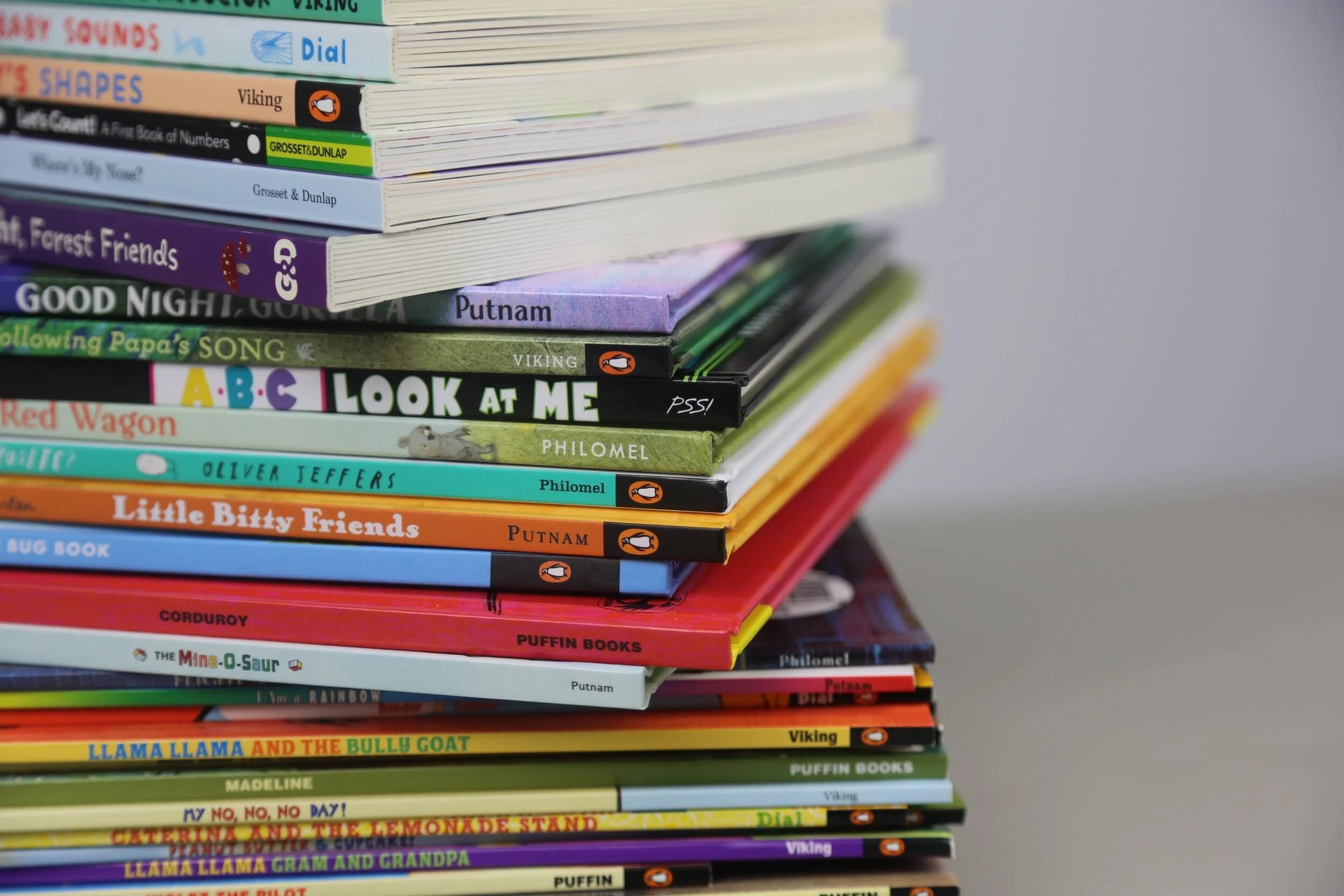 Bridge to Books - Bringing the Imagination Library to Stillwater