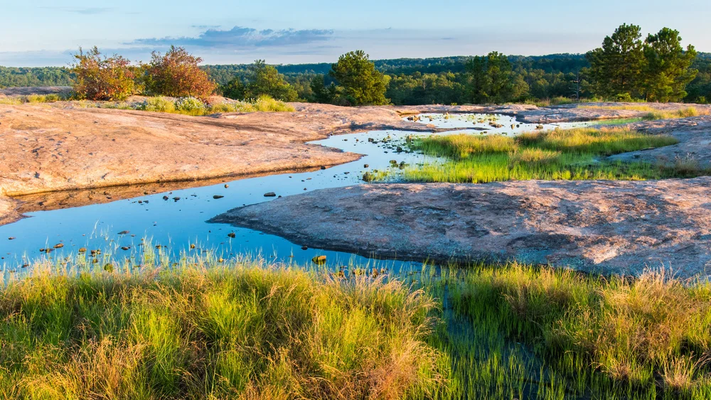 Keep Georgia Beautiful Foundation