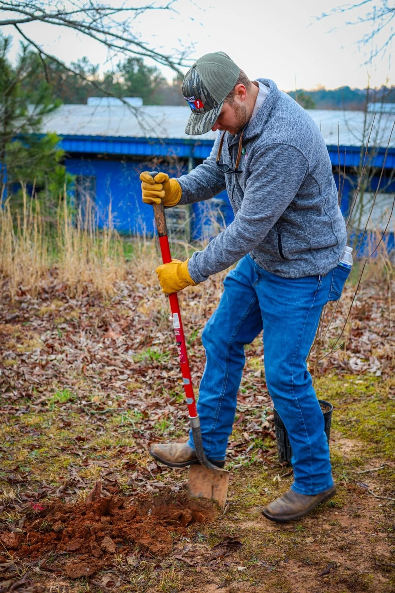 Georgia Arbor Day 2026 Toolkit — Keep Georgia Beautiful Foundation