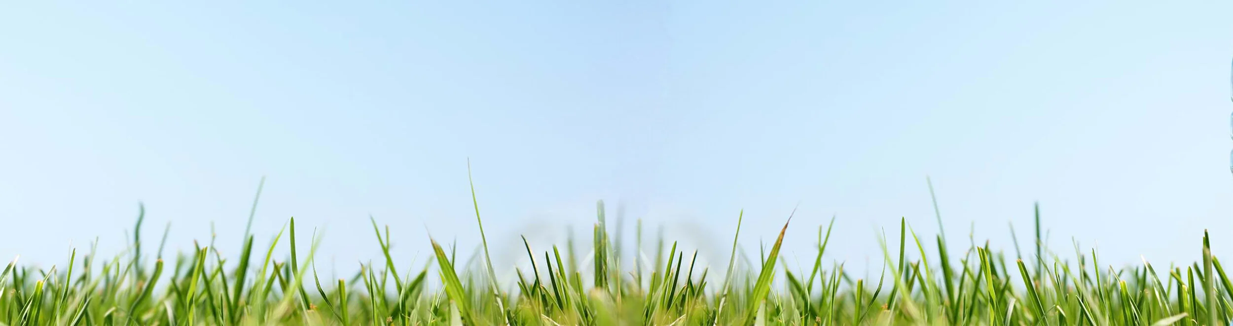 Martogg | Plastic Recyclers | RPET, Polymers & Masterbatch