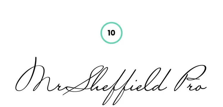 The 10 Best Script Fonts on Squarespace