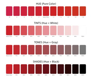 How to Use Color Theory to Choose Your Brand Colors