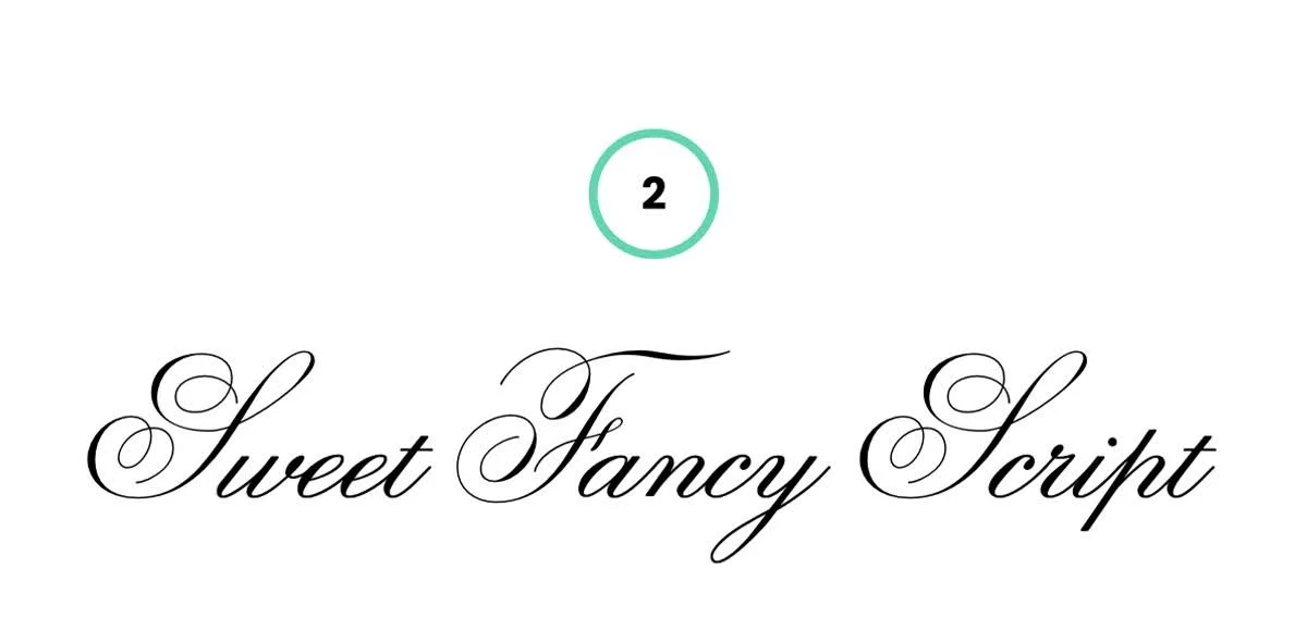 The 10 Best Script Fonts on Squarespace