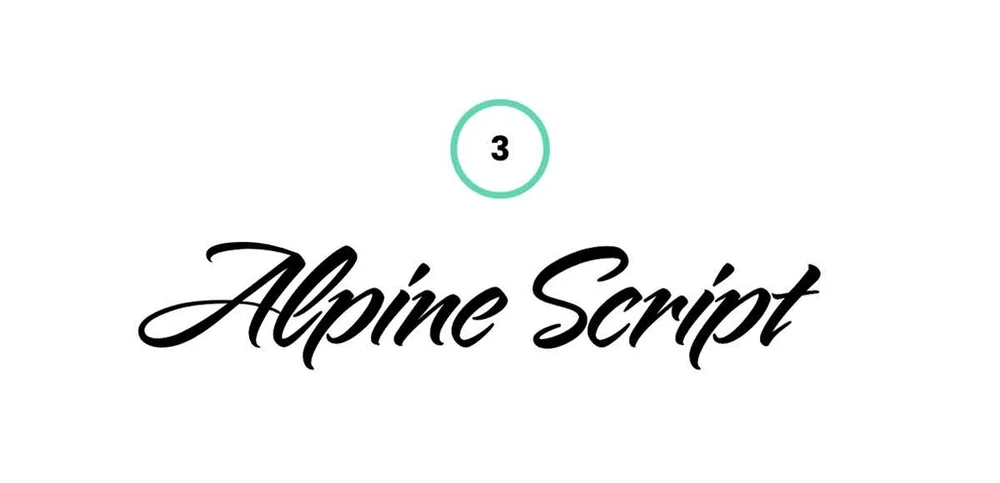 The 10 Best Script Fonts on Squarespace