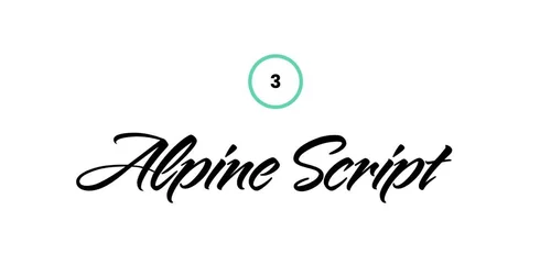 The 10 Best Script Fonts on Squarespace