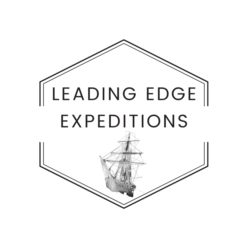 Leader — Strategy Shift