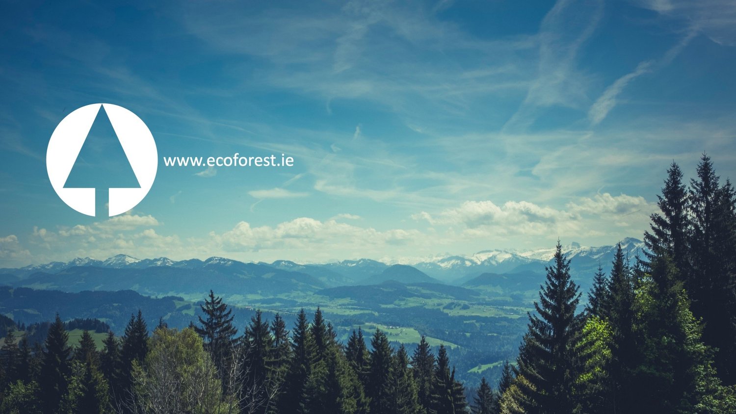 Eco Forest | Geothermal & Air to Water Heat Pumps | Donegal