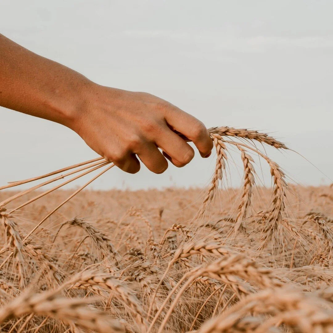 PRODOTTI PROFESSIONALI PER CAPELLI - EVRL HAIR CONCEPT SHOP ONLINE