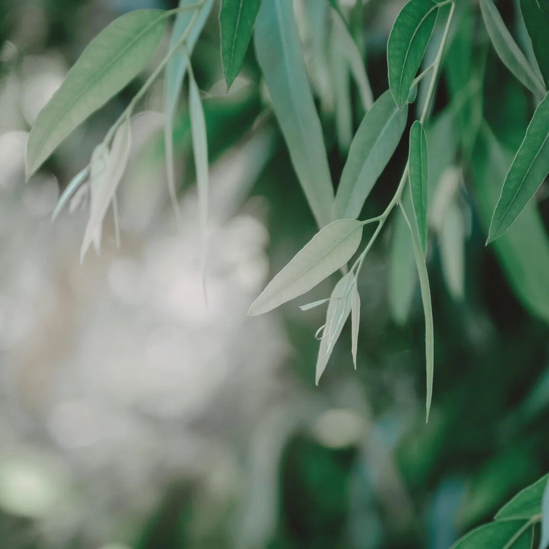 PRODOTTI PROFESSIONALI PER CAPELLI - EVRL HAIR CONCEPT SHOP ONLINE