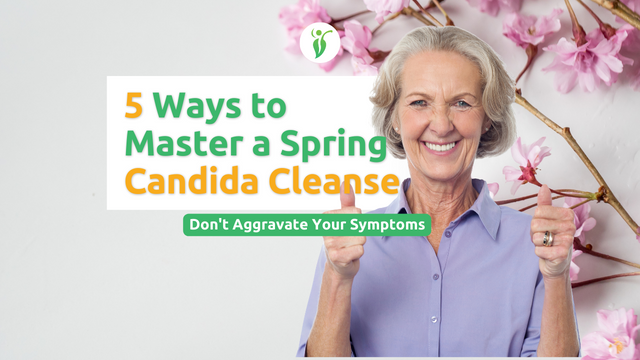 Candida Support Blog — Candida Support