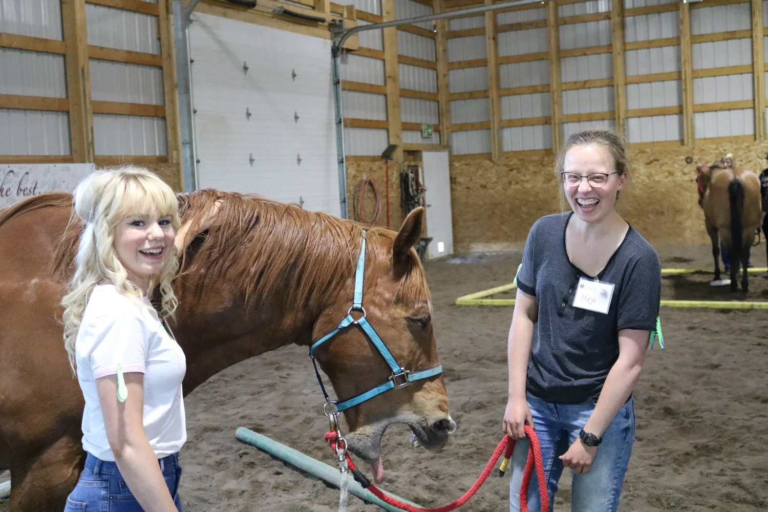 Programs — Equine Discovery