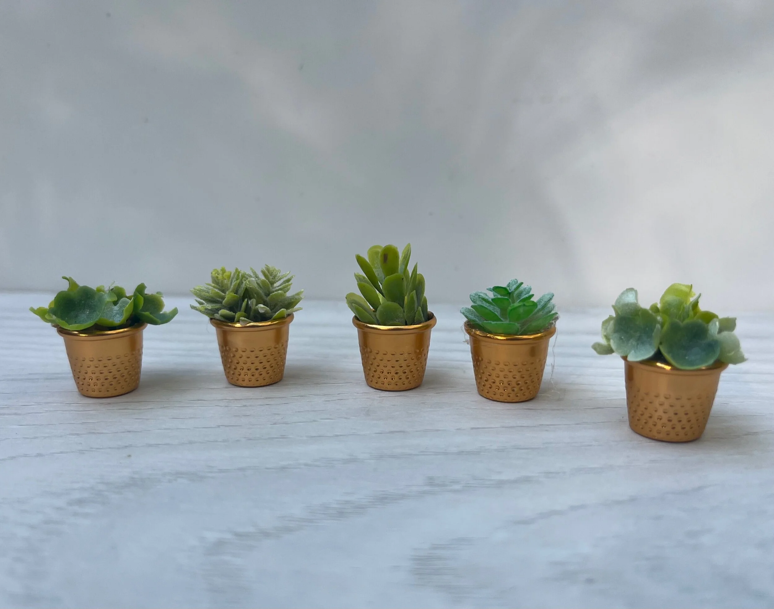 Store 1 — The Logie Shop