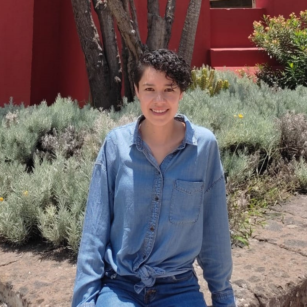 Karen Guadalupe Suarez Lira — Cuenca Los Ojos