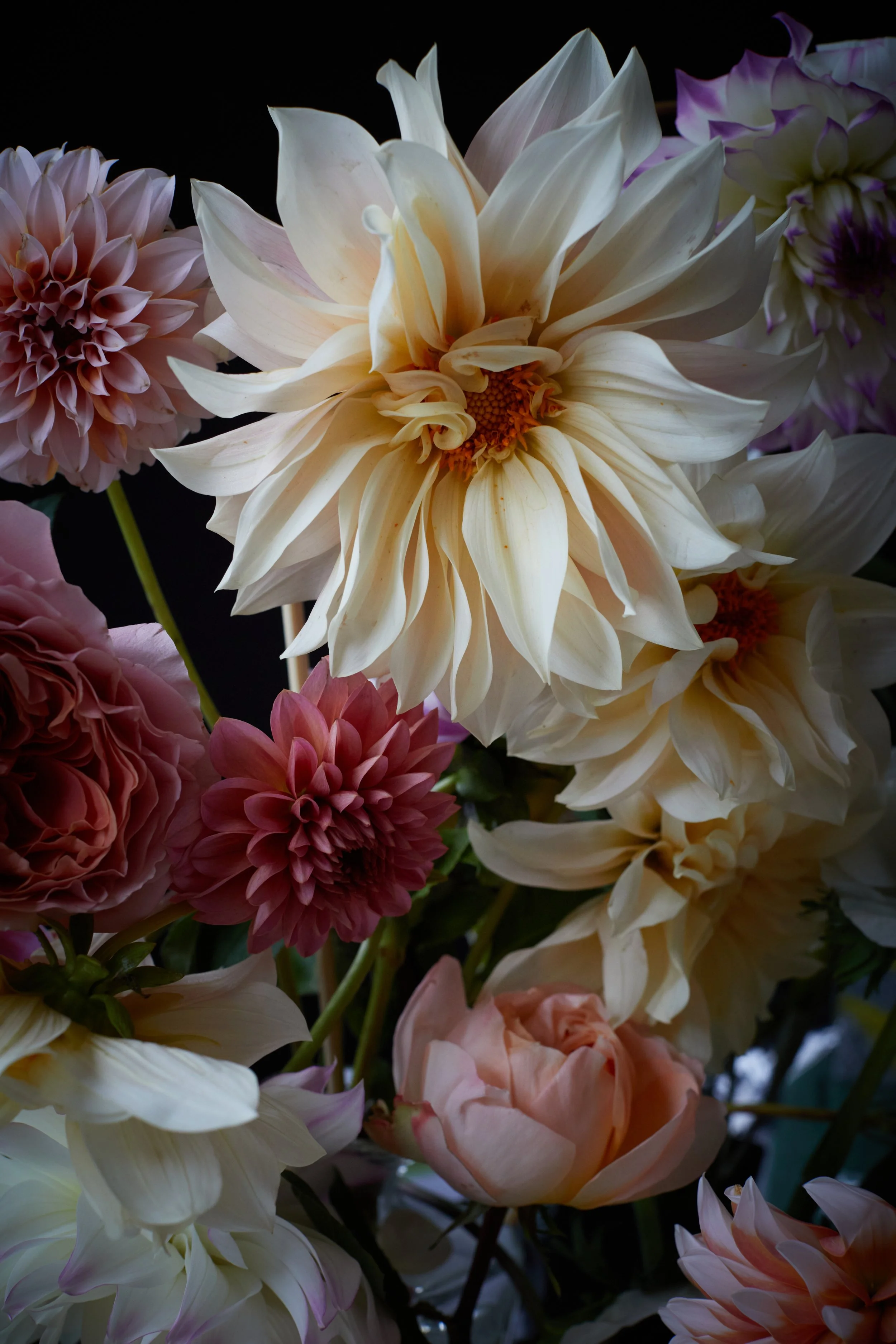 About Us | Central Park Bride -New York’s premier bridal and fashion ...