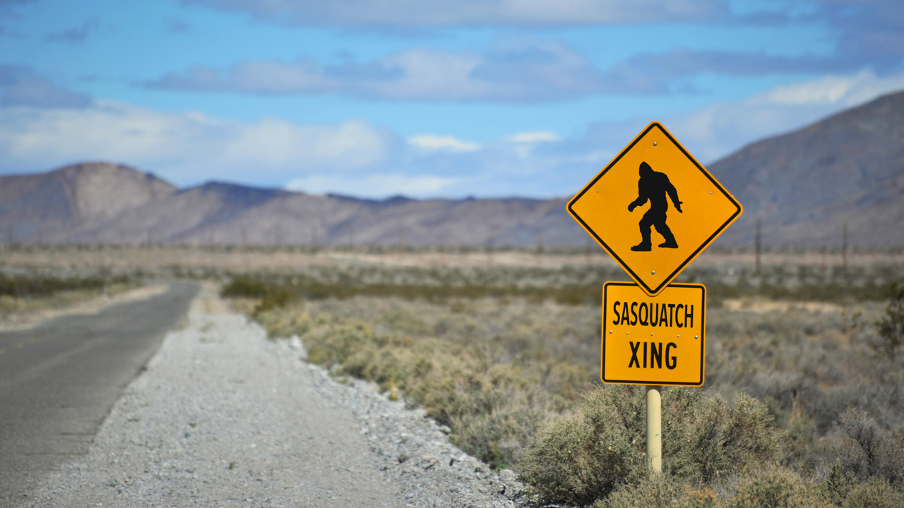 Searching For Sasquatch Project | Big Foot | Outdoors | Sighting ...