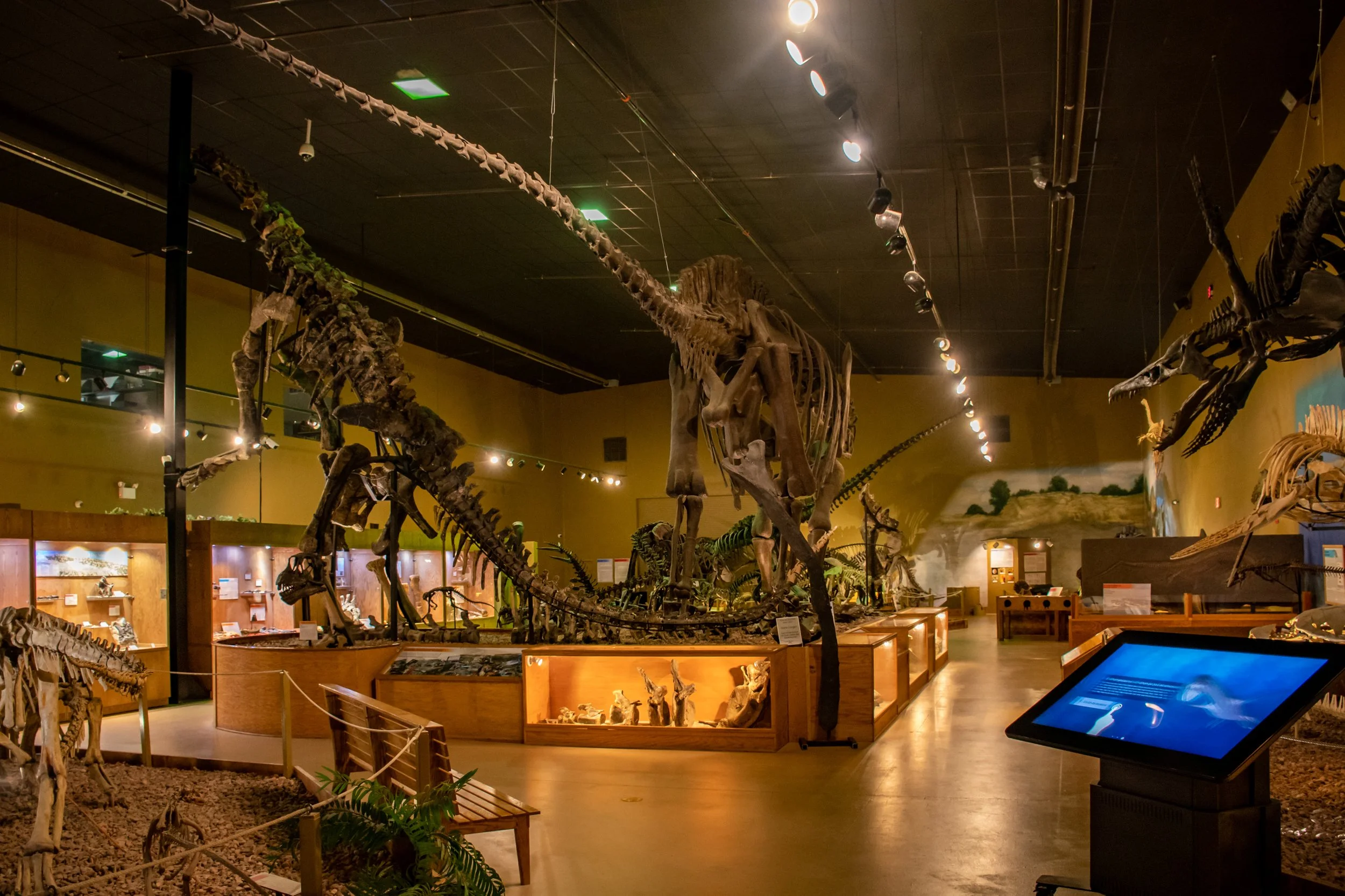 Wyoming Dinosaurs Museum And Dig Sights Thermopolis Live WYld