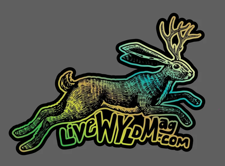 The Legend of the Jackalope — Live WYld Magazine