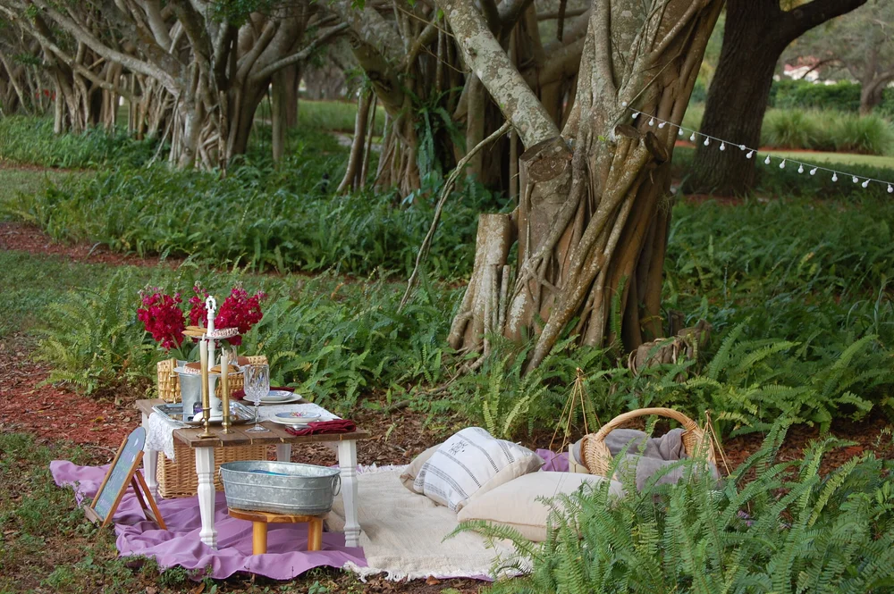 Picnic Options in Naples — Picture Perfect Picnics + Photos and Events