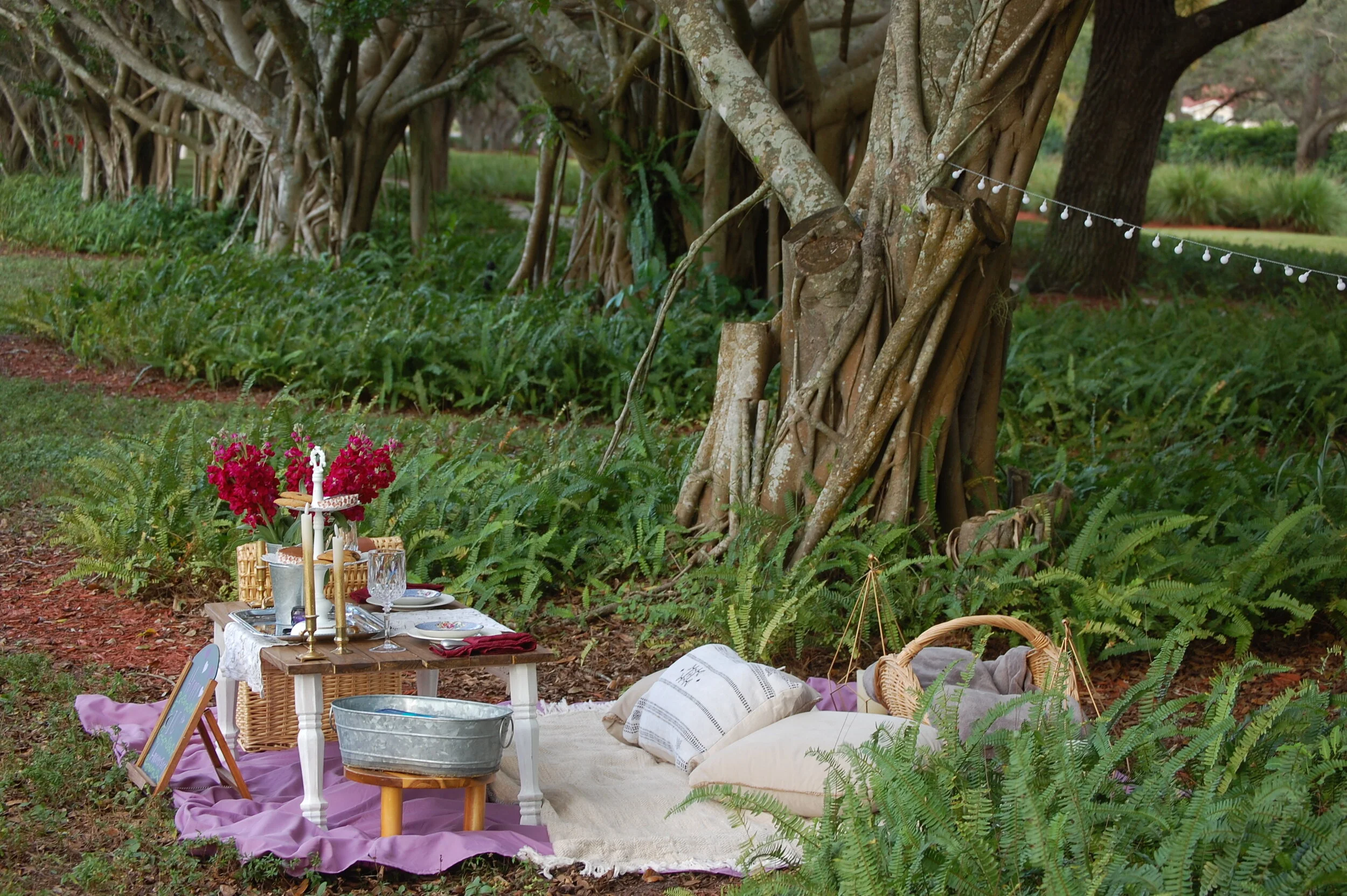 Picnic Options in Naples — Picture Perfect Picnics + Photos and Events