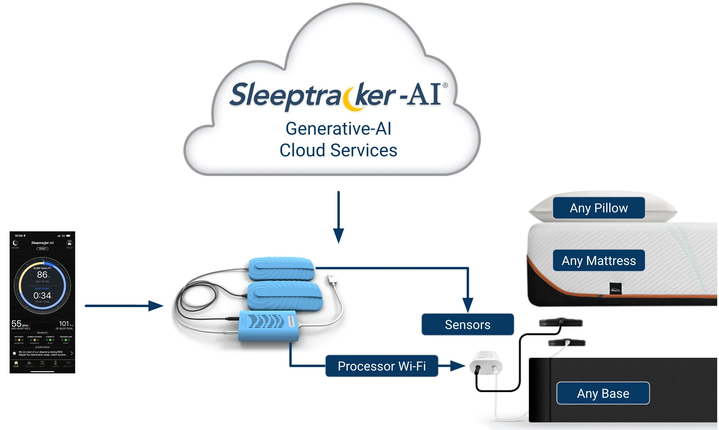 SleepCoachAI — Sleep and Brain