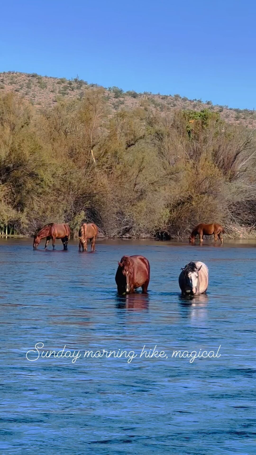 About A Bon Bon Life hosted by Nancy Veloo — A Bon Bon Life