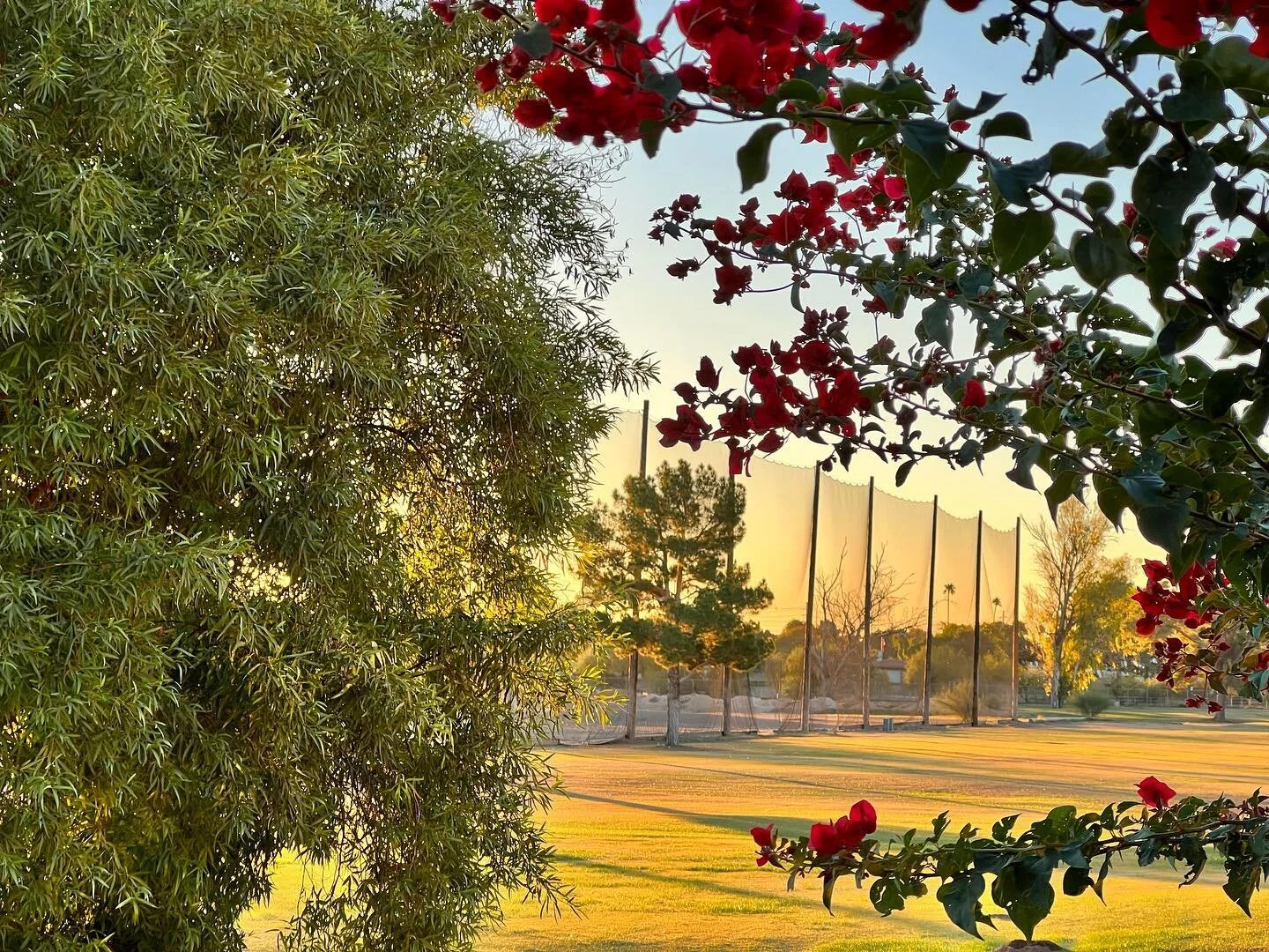 About A Bon Bon Life hosted by Nancy Veloo — A Bon Bon Life