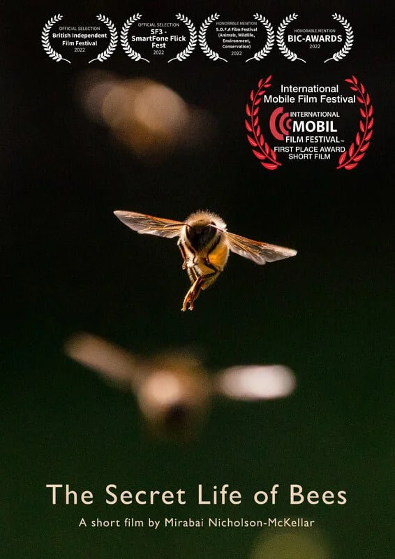 The Secret Life of Bees