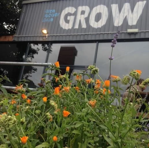 Our Vision and What We Do — Grow, Hackney