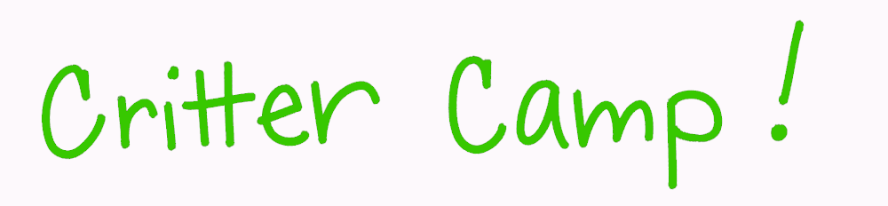 Critter Camp — Cathy's Critters