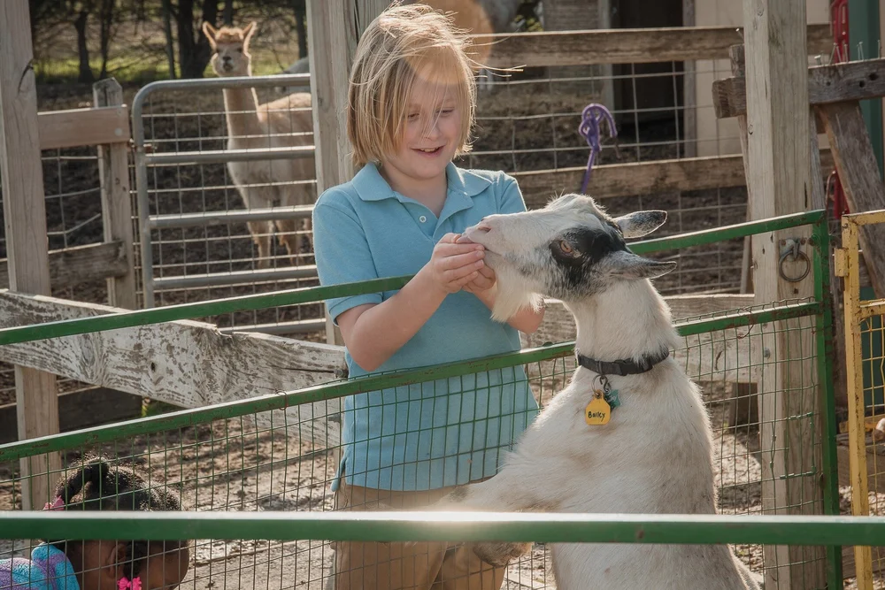 Private Events on the Farm — Cathy's Critters