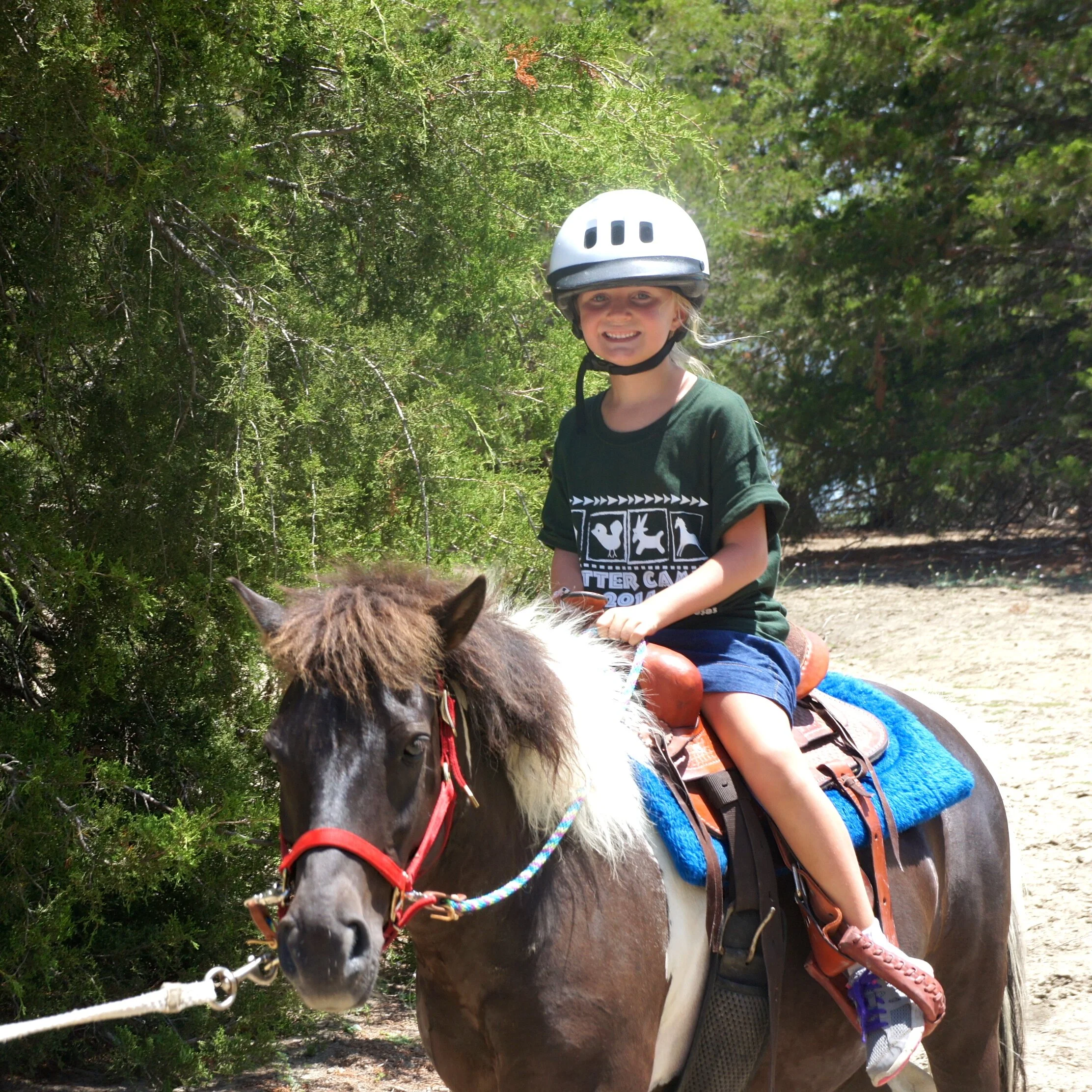 Private Events on the Farm — Cathy's Critters