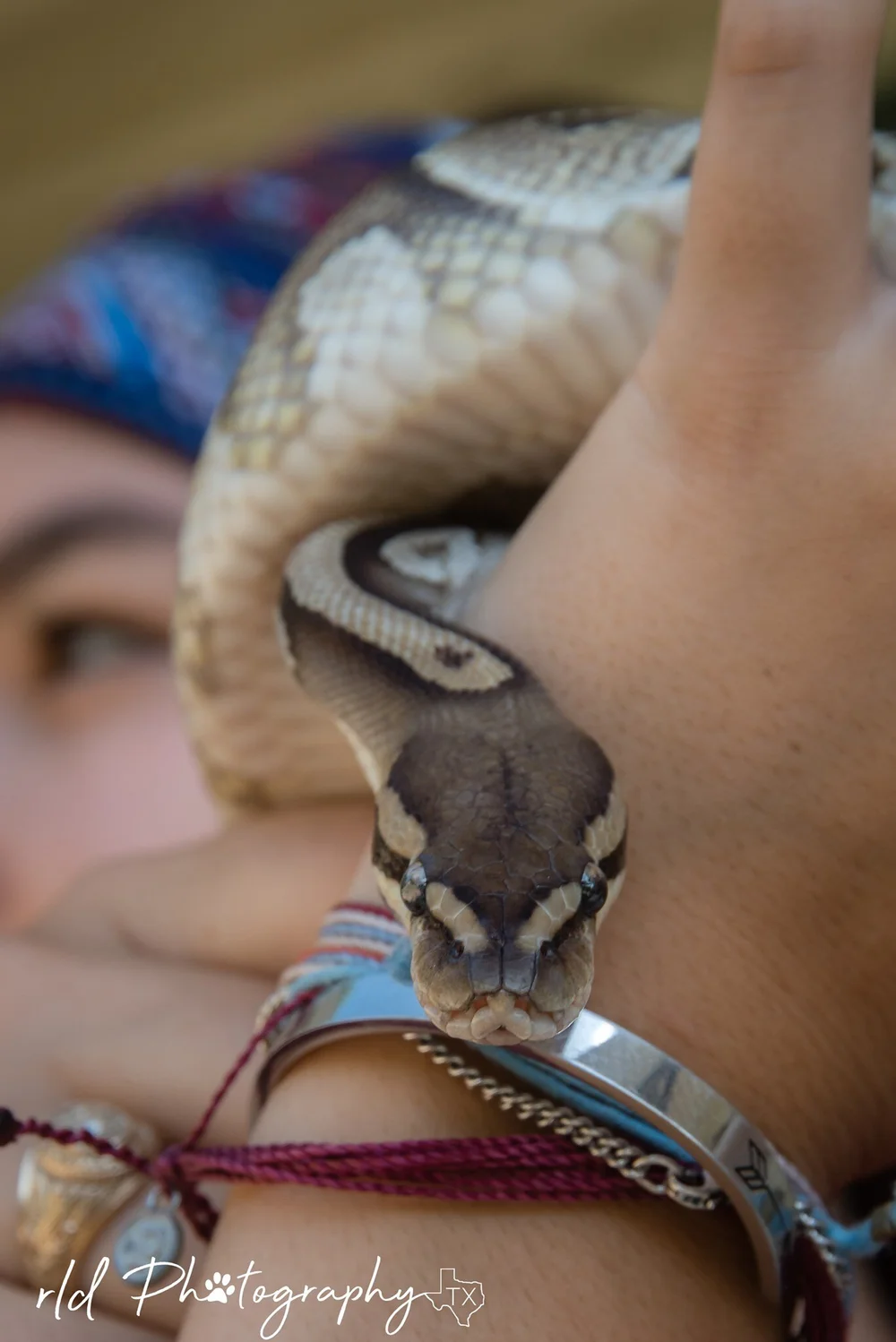 Mobile Exotics Presentations — Cathy's Critters