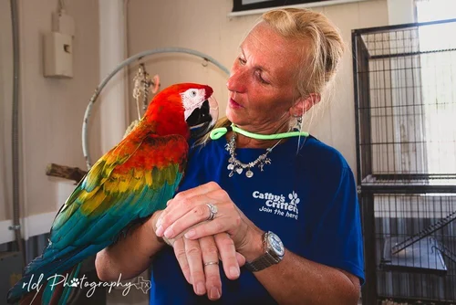 Gallery | Visit, Experience, Enjoy! — Cathy's Critters