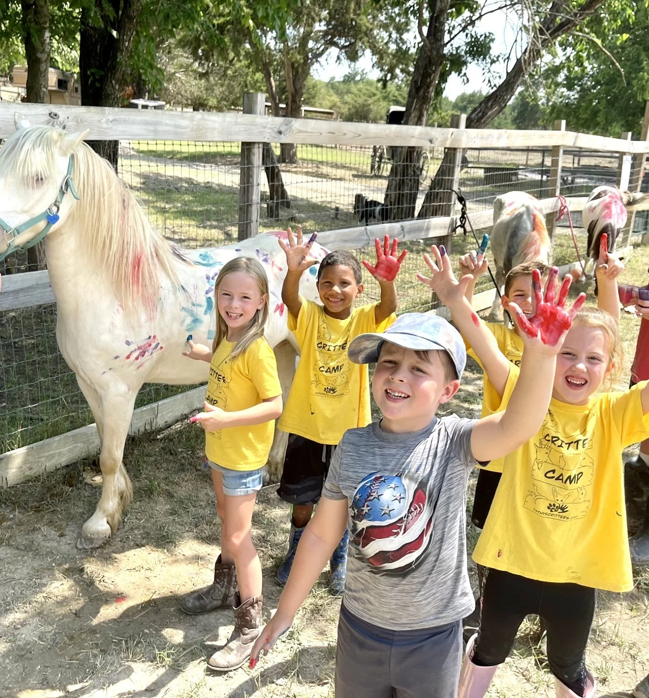Critter Camp — Cathy's Critters