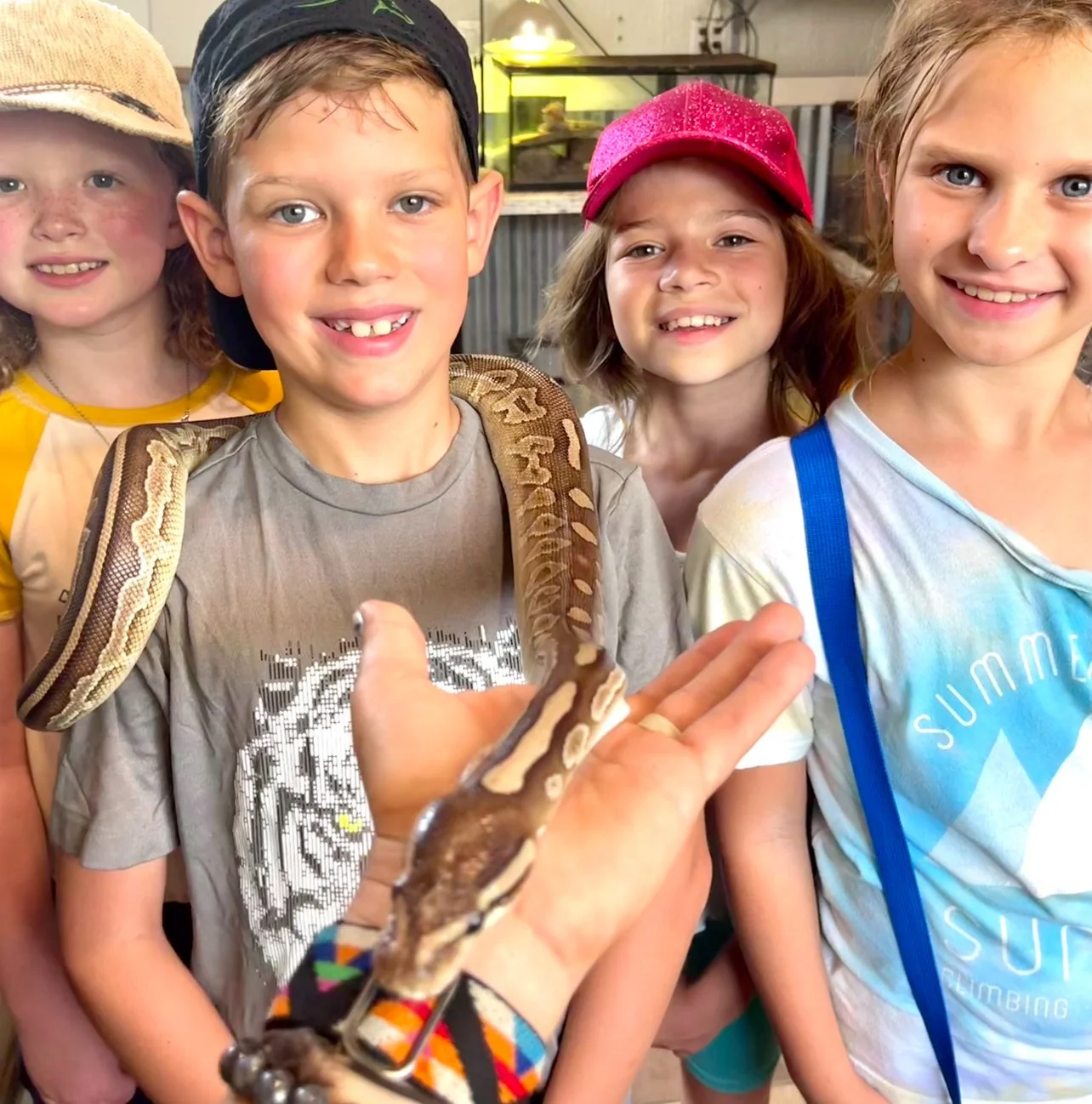 Critter Camp — Cathy's Critters