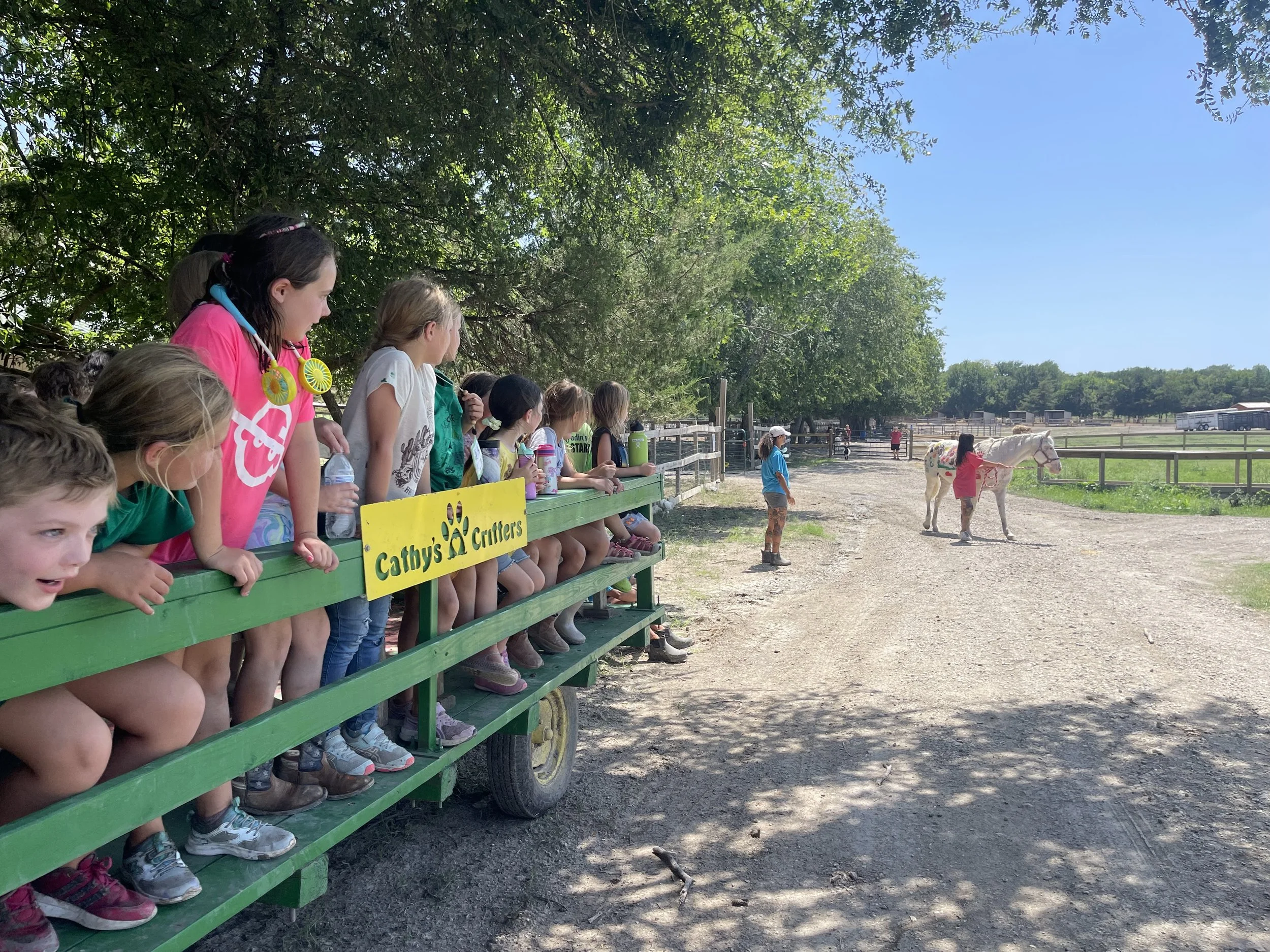 Critter Camp — Cathy's Critters