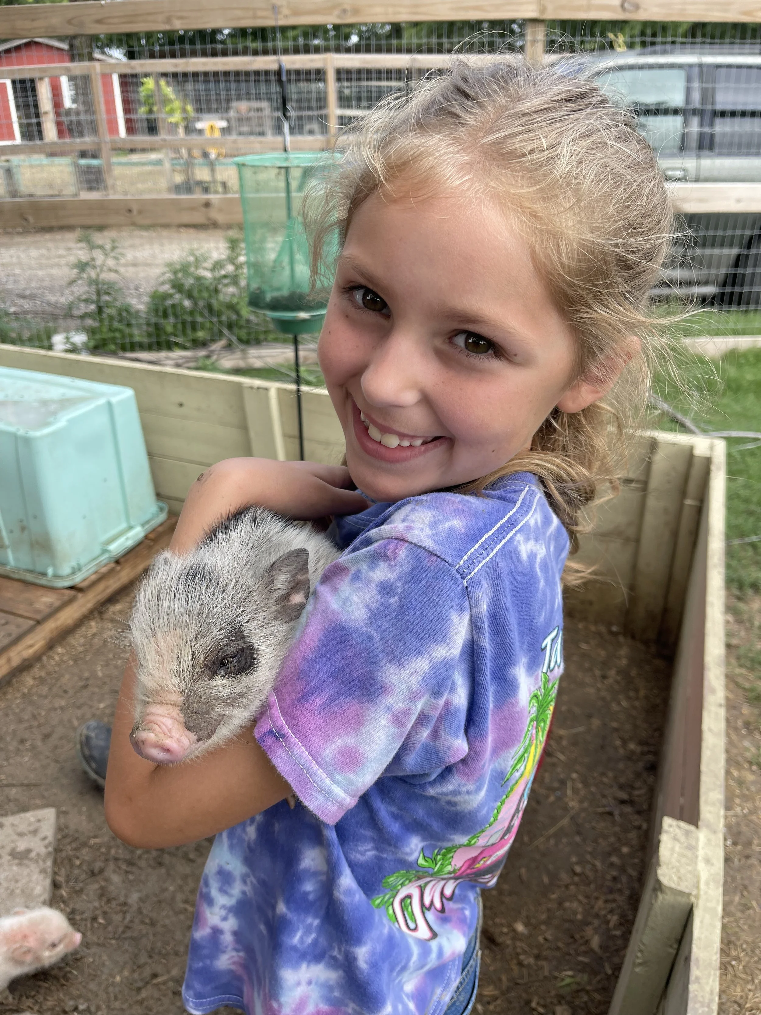 Critter Camp — Cathy's Critters