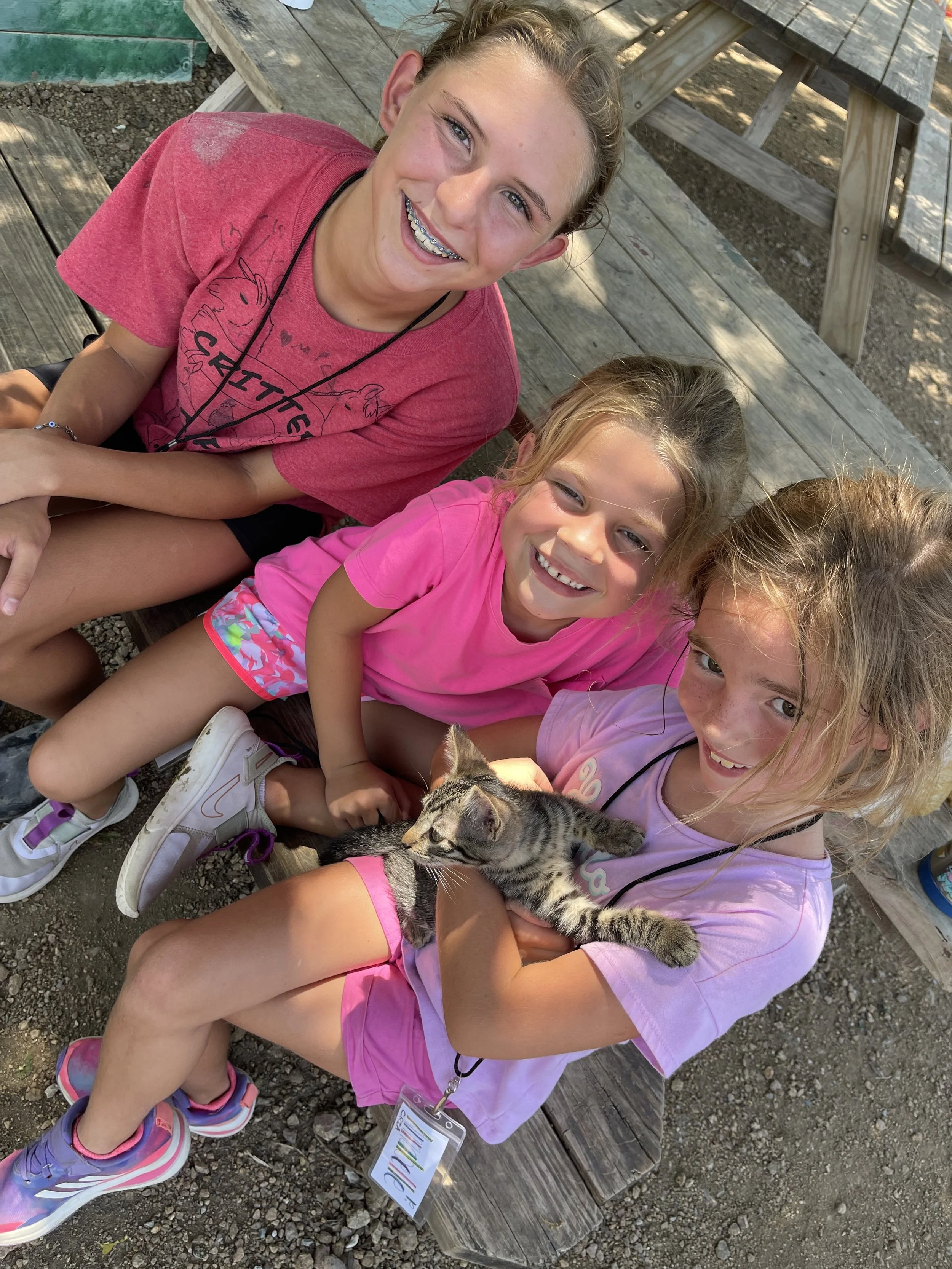 Critter Camp — Cathy's Critters