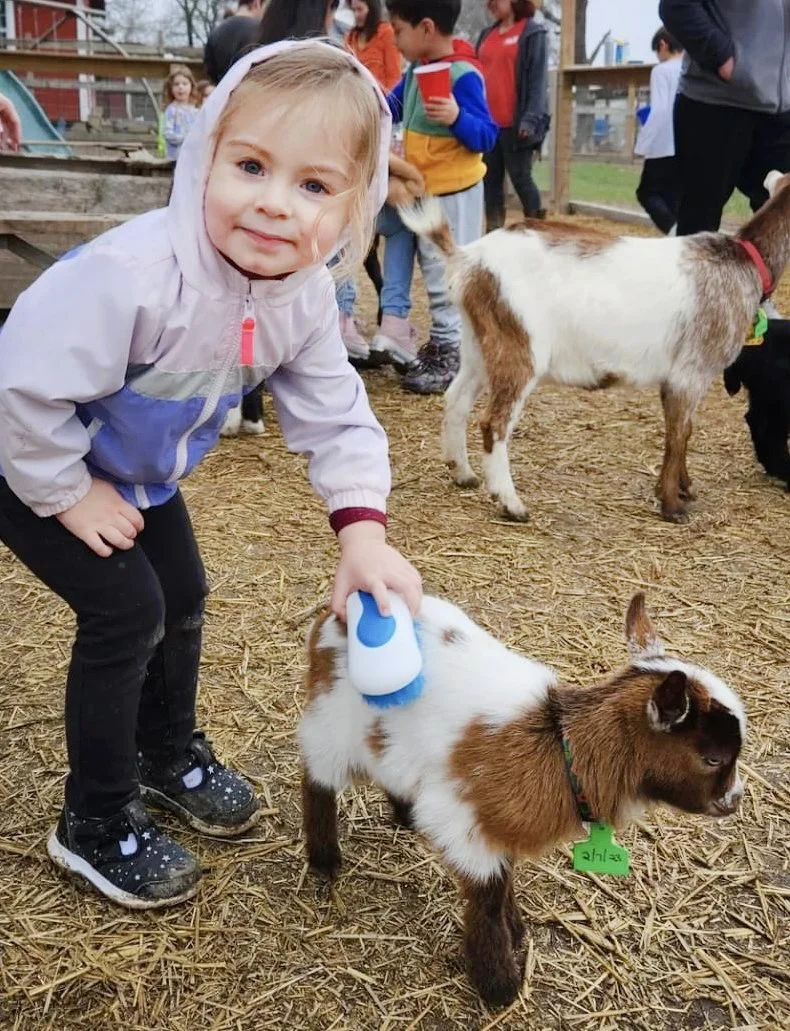 Gallery — Cathy's Critters