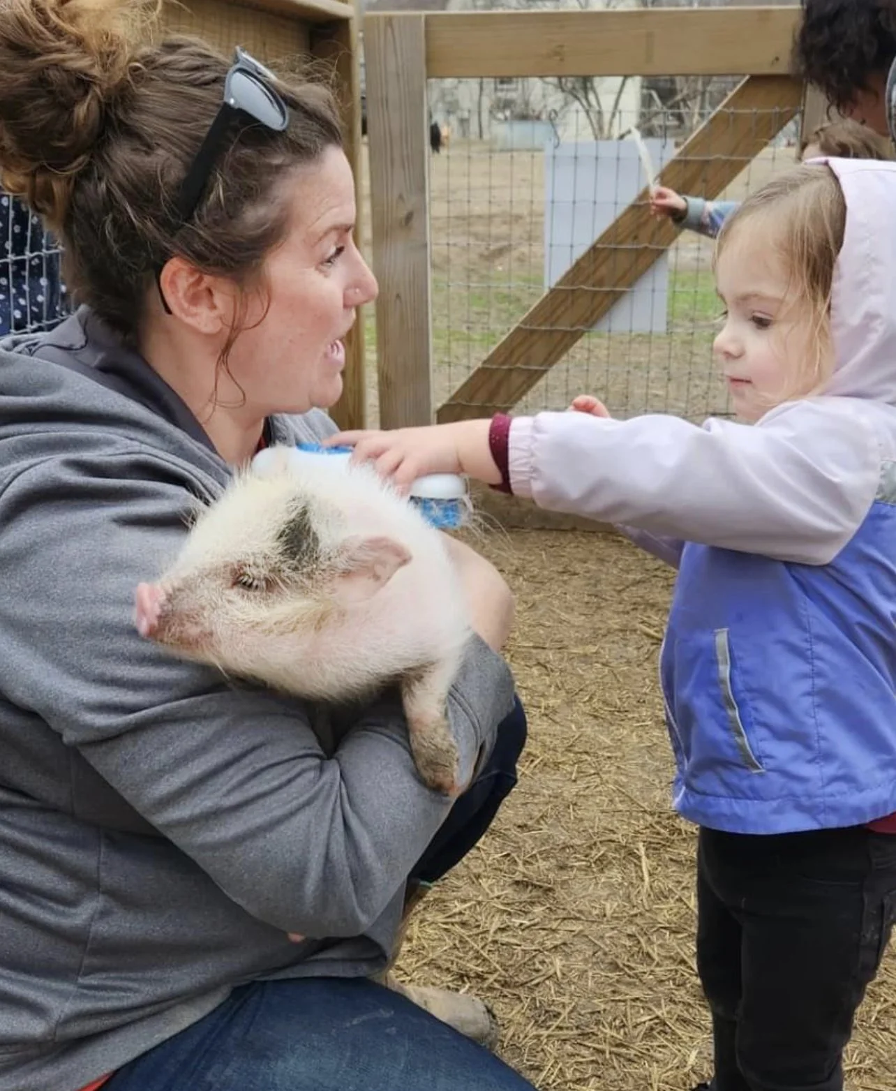 Gallery | Visit, Experience, Enjoy! — Cathy's Critters