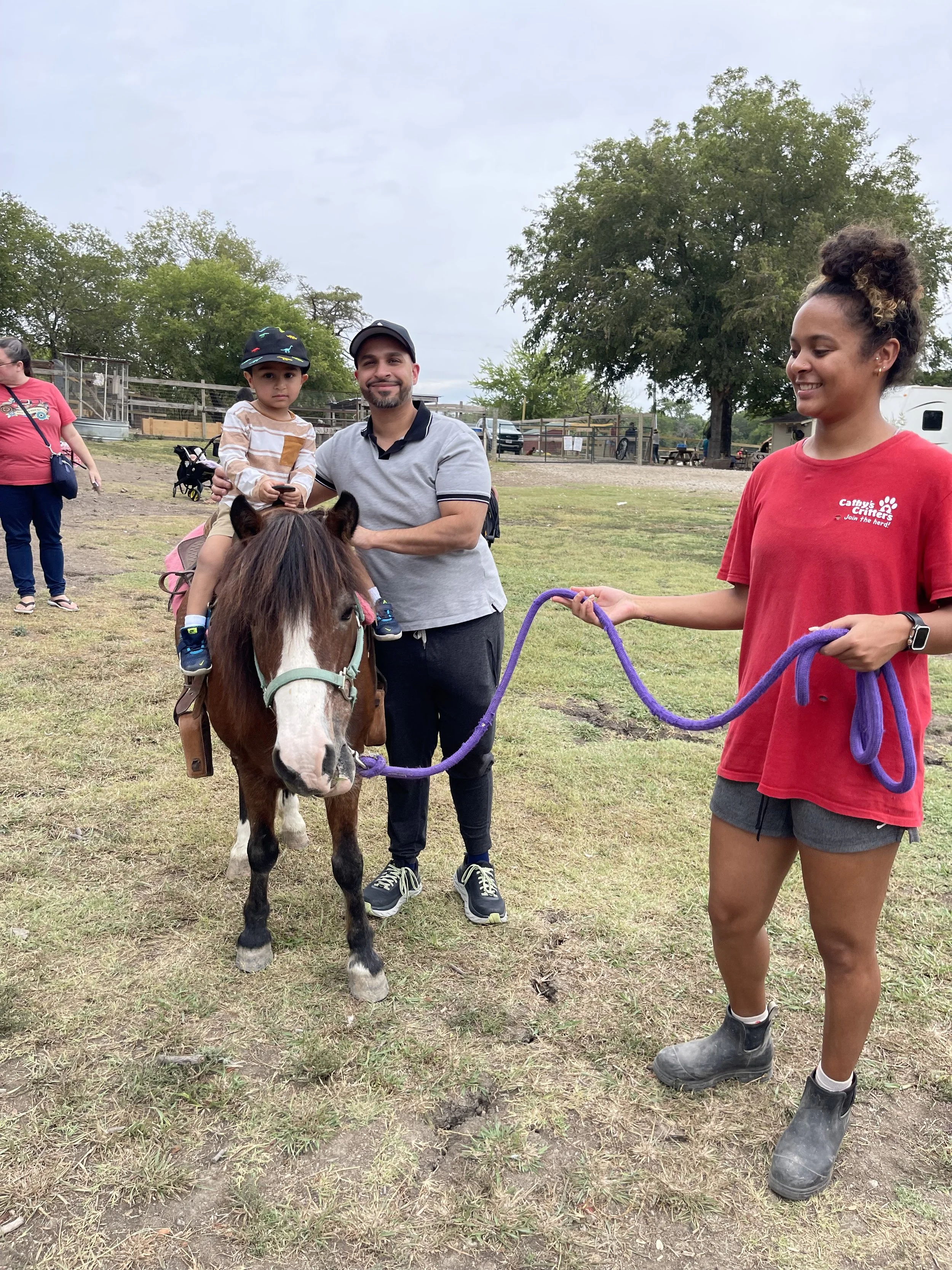 Gallery | Visit, Experience, Enjoy! — Cathy's Critters